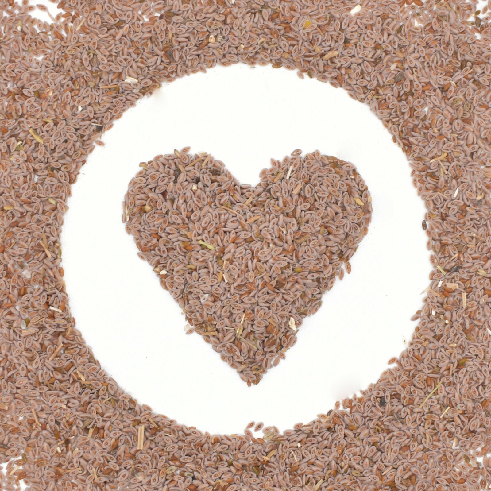 PSYLLIUM HUSK SEEDS – Herballove Shop